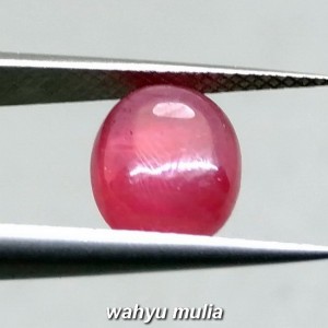 Batu Merah Delima Ruby Asli (Kode 964) - Wahyu Mulia